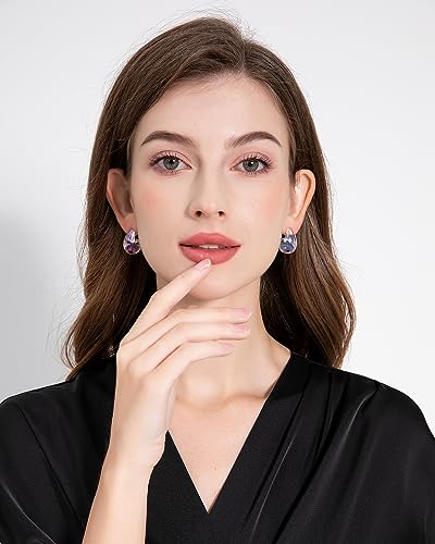 Chic Acrylic Hoop Earrings with Sterling Silver Push Back for Women ...
