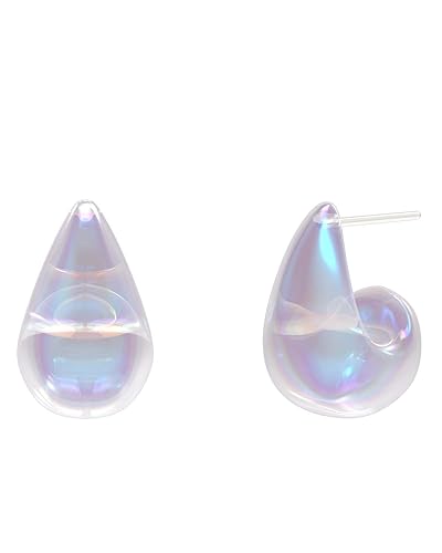 Chic Acrylic Hoop Earrings with Sterling Silver Push Back for Women ...